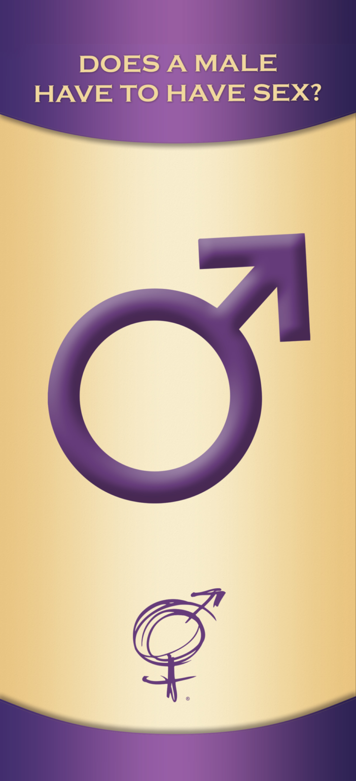 Pamphlets | SAICO Store